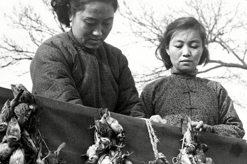El Gran Salto adelante: la gran hambruna en la China de Mao - Agregar